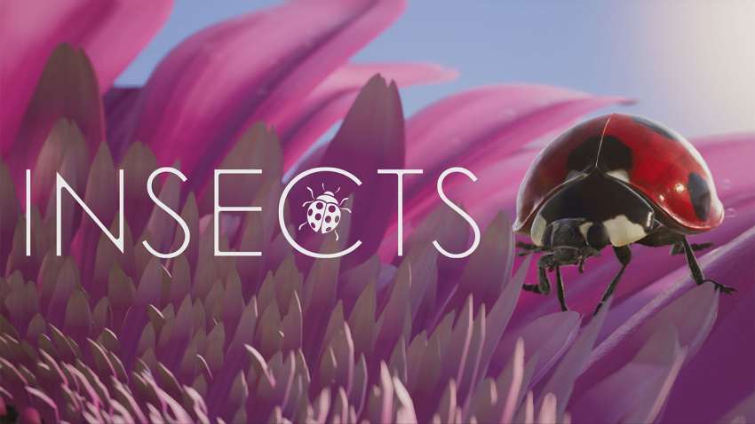 Microsoft shows off with Xbox technical demo “Insects” – Pickr