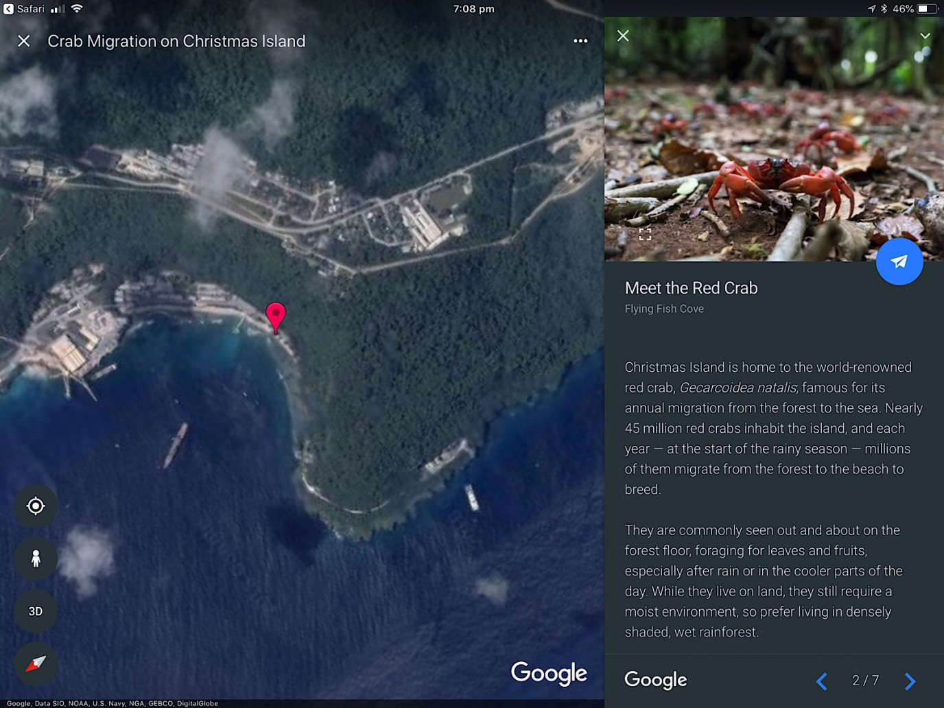 Red crab migration goes live on Google Earth, StreetView – Pickr