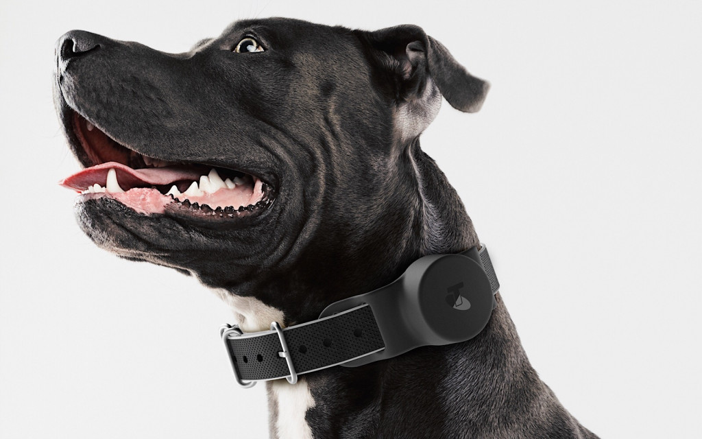 Telstra Locator aims to help you find your stuff – Pickr