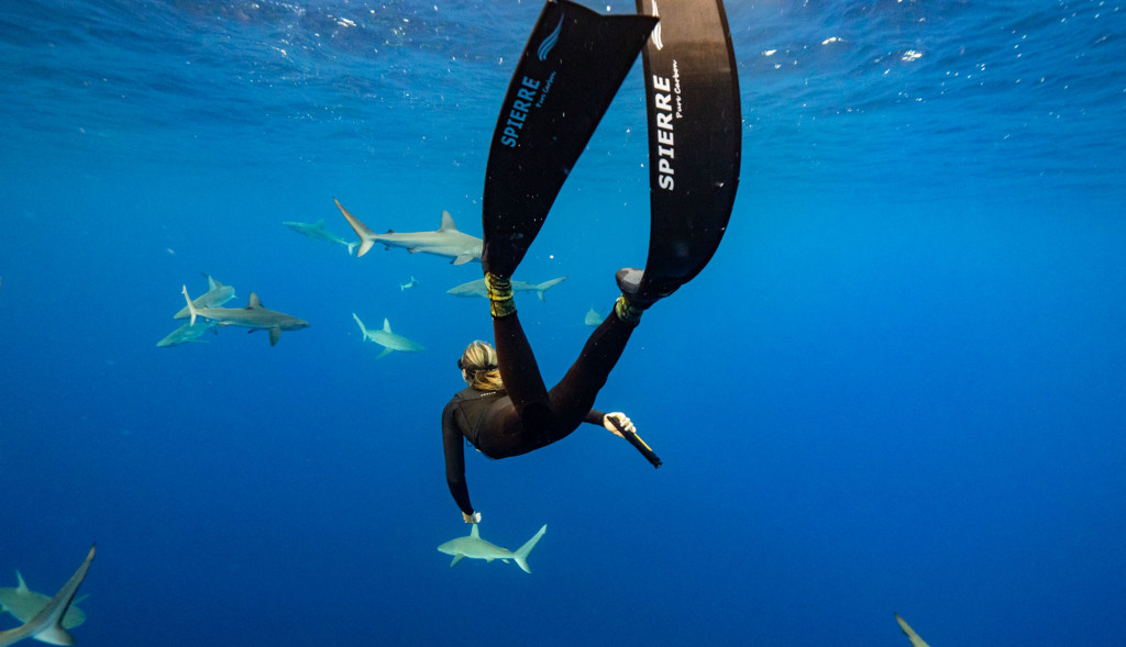 Australians develop personal shark deterrent to swim with – Pickr
