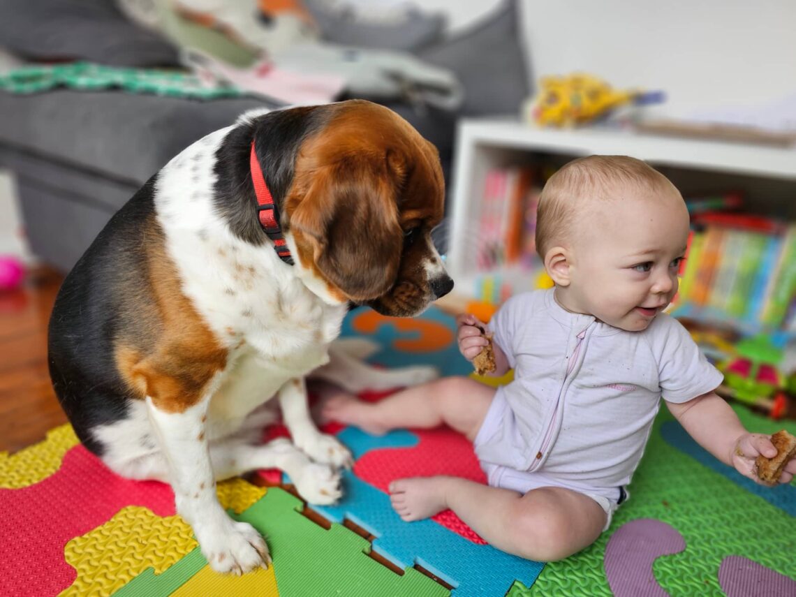 Samsung Galaxy S23 Ultra review (SM-S918B) – Pickr