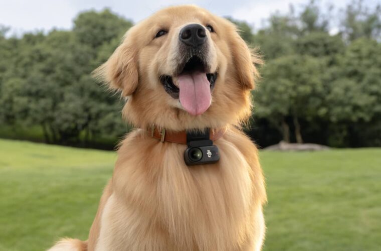 Telstra's smart modem hits V4 and gets WiFi 7, 5G – Pickr